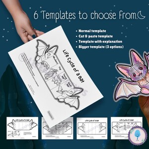 Life Cycle of a Bat Science Activity for Kids | Foldable Craft | Bat ...