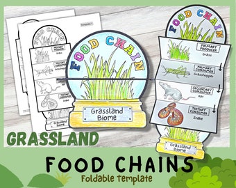 Food Chains Diagram - Etsy