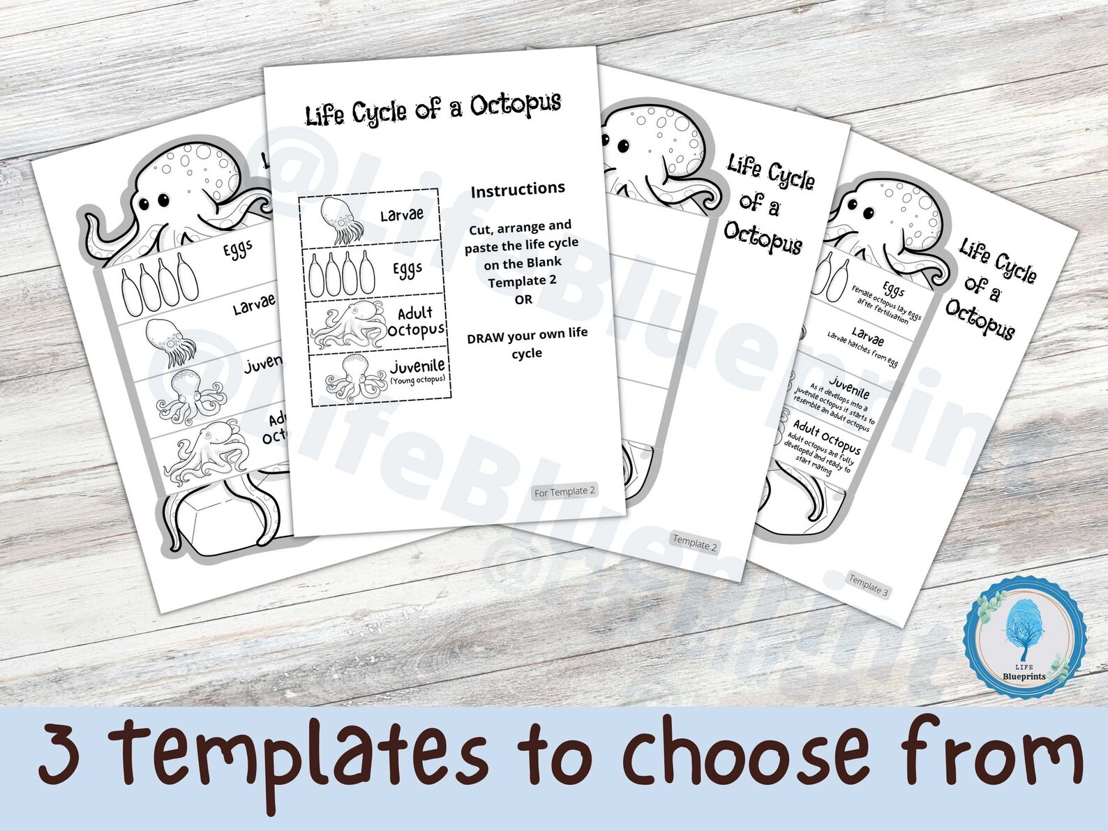 Foldable Octopus Life Cycle Learning Activity for Kids A4 and 11x8.5 ...