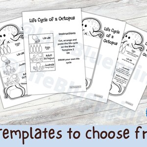 Foldable Octopus Life Cycle Learning Activity for Kids | A4 and 11x8.5 ...