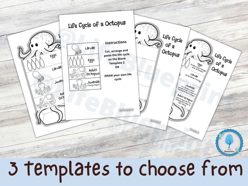Foldable Octopus Life Cycle Learning Activity for Kids | A4 and 11x8.5 ...