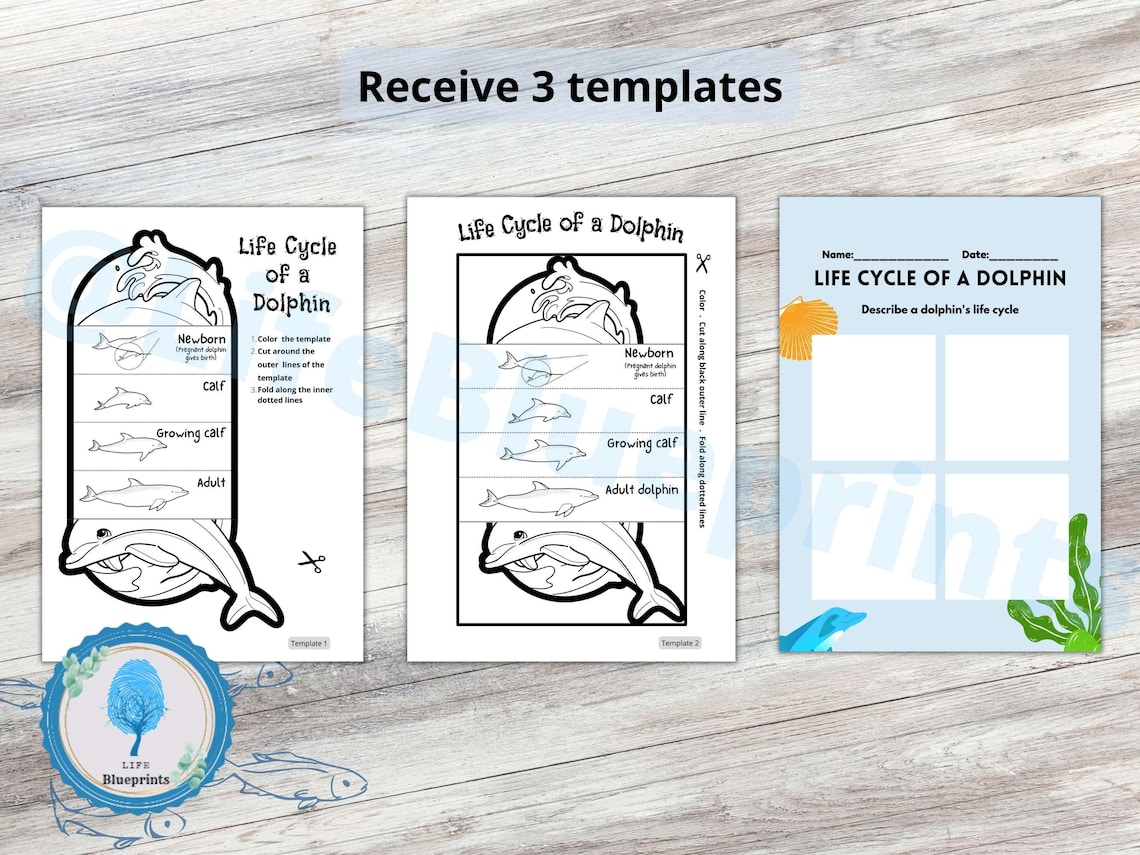 Foldable Dolphin Life Cycle Learning Activity for Kids A4 and 11x8.5 ...