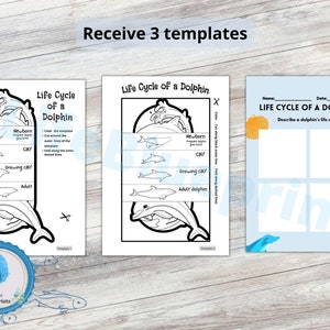 Foldable Dolphin Life Cycle Learning Activity for Kids | A4 and 11x8.5 ...
