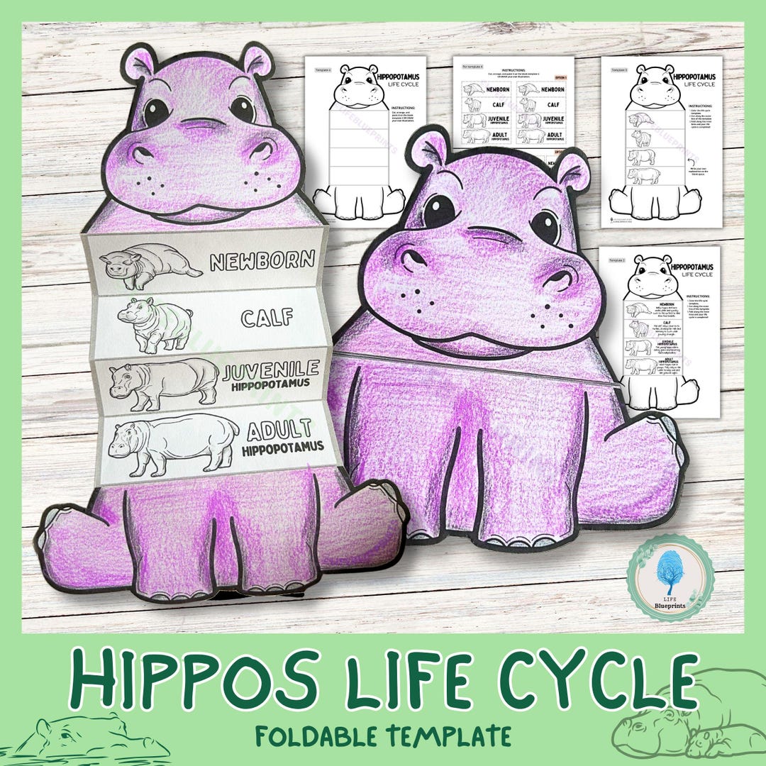 Hippopotamus Life Cycle Science Activity for Kids | Foldable Craft ...