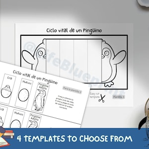 SPANISH Life Cycle of Penguin| Foldable Life Cycle Craft | Digital ...