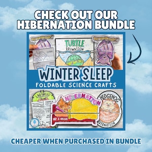 Foldable Butterfly Life Cycle Learning Activity for Kids | A4 and 11x8 ...