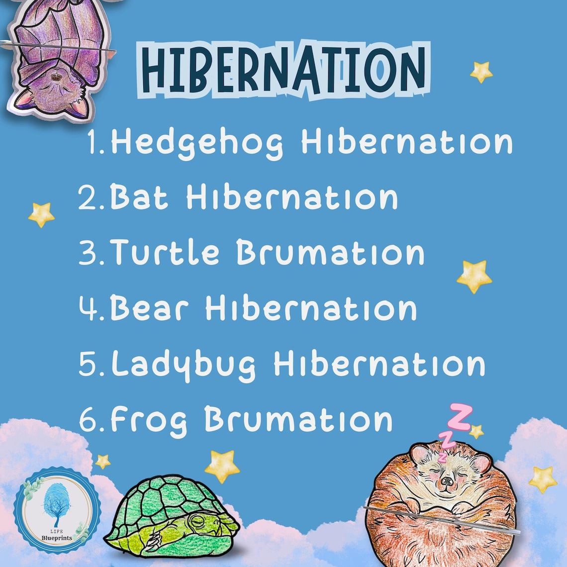 Hibernation & Brumation Craft Bundle – Fun, Interactive Winter Science ...