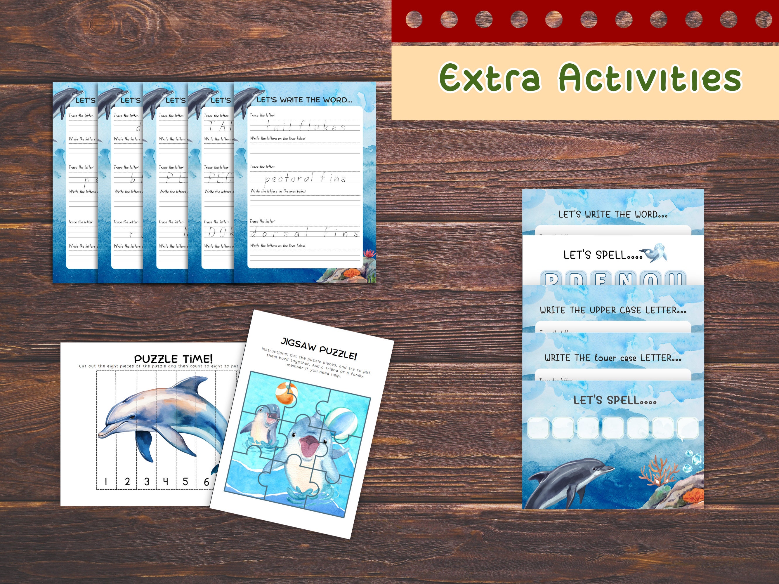 Dolphin Anatomy Poster for Kids, Nature Study, Science, Montessori ...