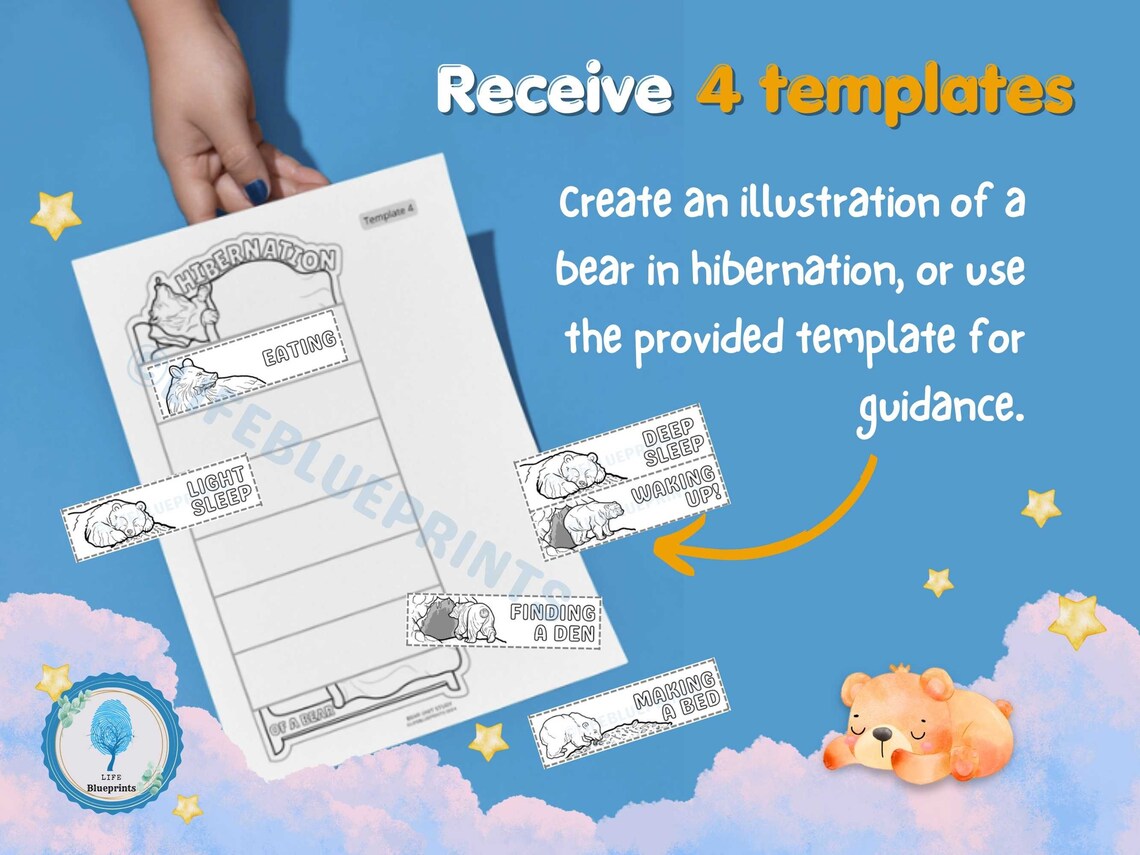 Bear Hibernation Foldable Activity | Montessori Classroom | Digital ...
