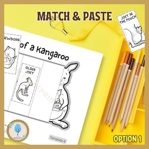 Kangaroo Life Cycle Activity for Kids | Foldable Craft | Australian ...