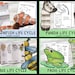 Foldable Life Cycle Bundle of 10 Templates Discounts With Bundle ...