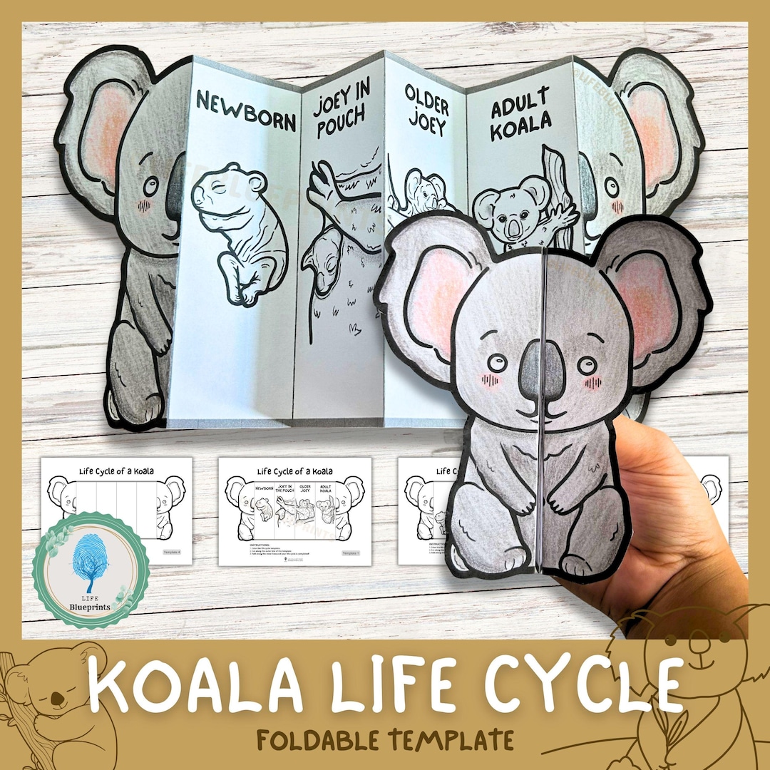 Koala Life Cycle Science Activity for Kids | Foldable Craft | Koala Study | Australian Animal ...