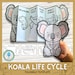 SPANISH Capybara Life Cycle Learning Activity for Kids A4 and 11x8.5 ...