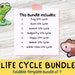 POND BIOME Life Cycle Bundle of 7 Templates Discounts With Bundle ...
