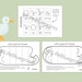 Foldable Duck Life Cycle Learning Activity for Kids | A4 and 11x8.5 ...