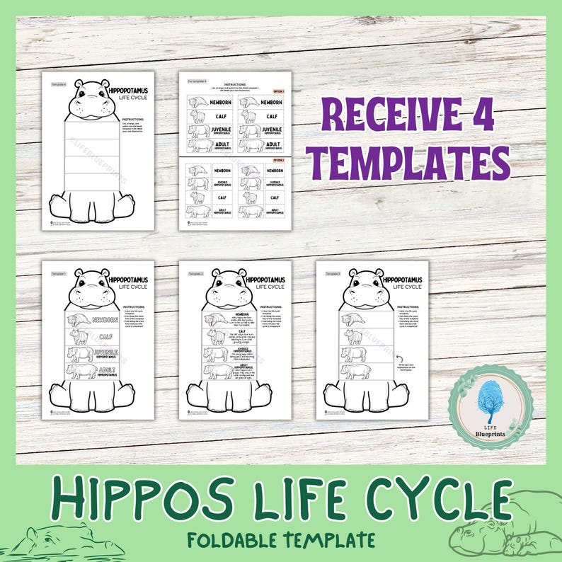 Hippopotamus Life Cycle Science Activity for Kids | Foldable Craft ...