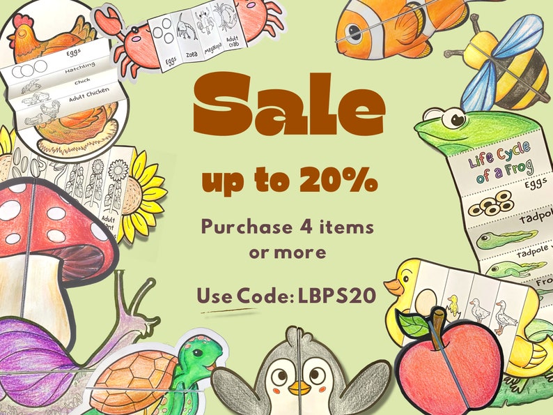 Foldable Duck Life Cycle Learning Activity for Kids A4 and - Etsy UK