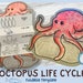 Foldable Octopus Life Cycle Learning Activity for Kids A4 and 11x8.5 ...