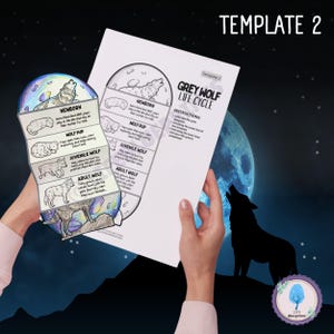 Grey Wolf Life Cycle Science Activity | Foldable Craft | Wolf Unit ...