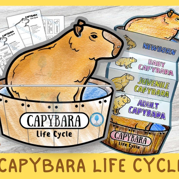 Capybara Valentine - Etsy