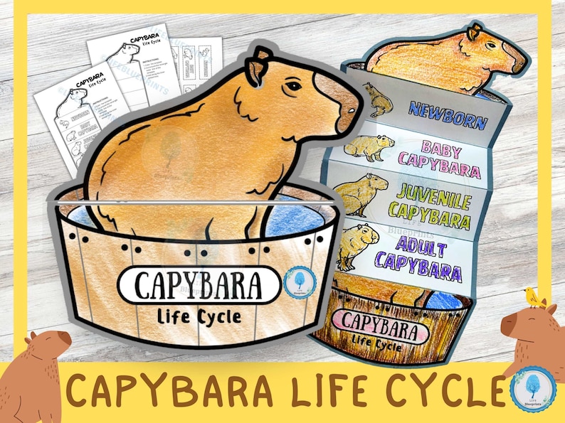 Capybara Life Cycle Learning Activity for Kids | A4 and 11x8.5 Inch ...