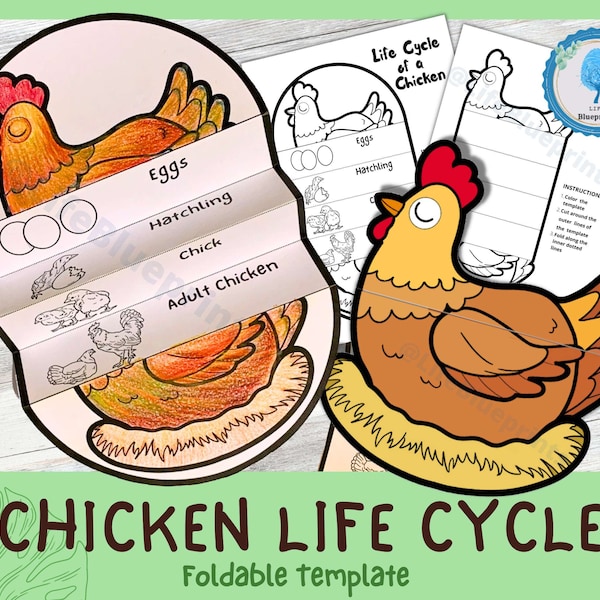 Chicken Life Cycle Activity - Etsy