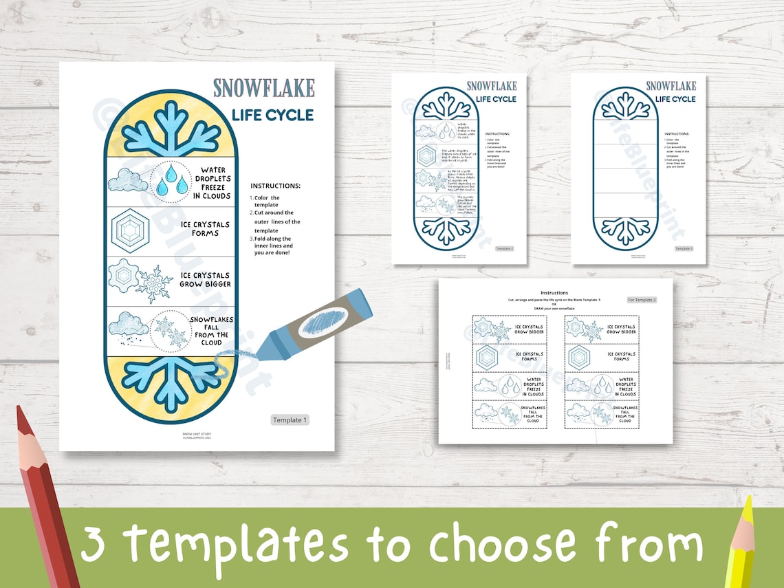 SNOW Life Cycle Christmas Snow Unit Study Montessori Learning Science ...