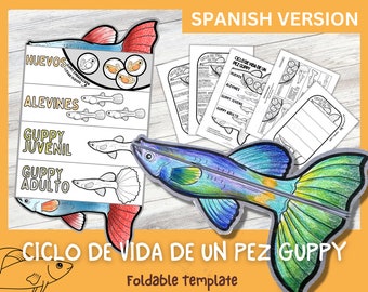 Foldable Duck Life Cycle Learning Activity for Kids A4 and 11x8.5 Inch ...