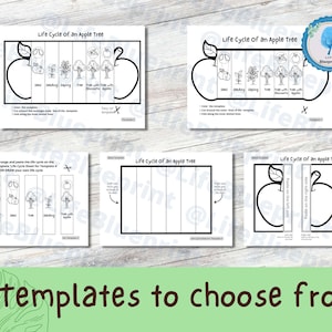 Foldable Apple Life Cycle Learning Activity for Kids | A4 and 11x8.5 ...