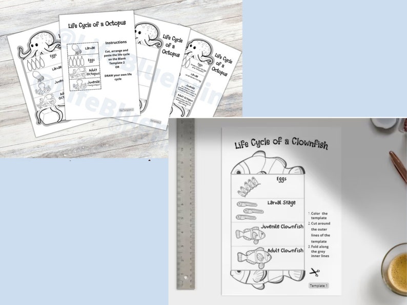 Marine Life Cycle Bundle of 6 Templates | Ocean | Discounts With Bundle ...
