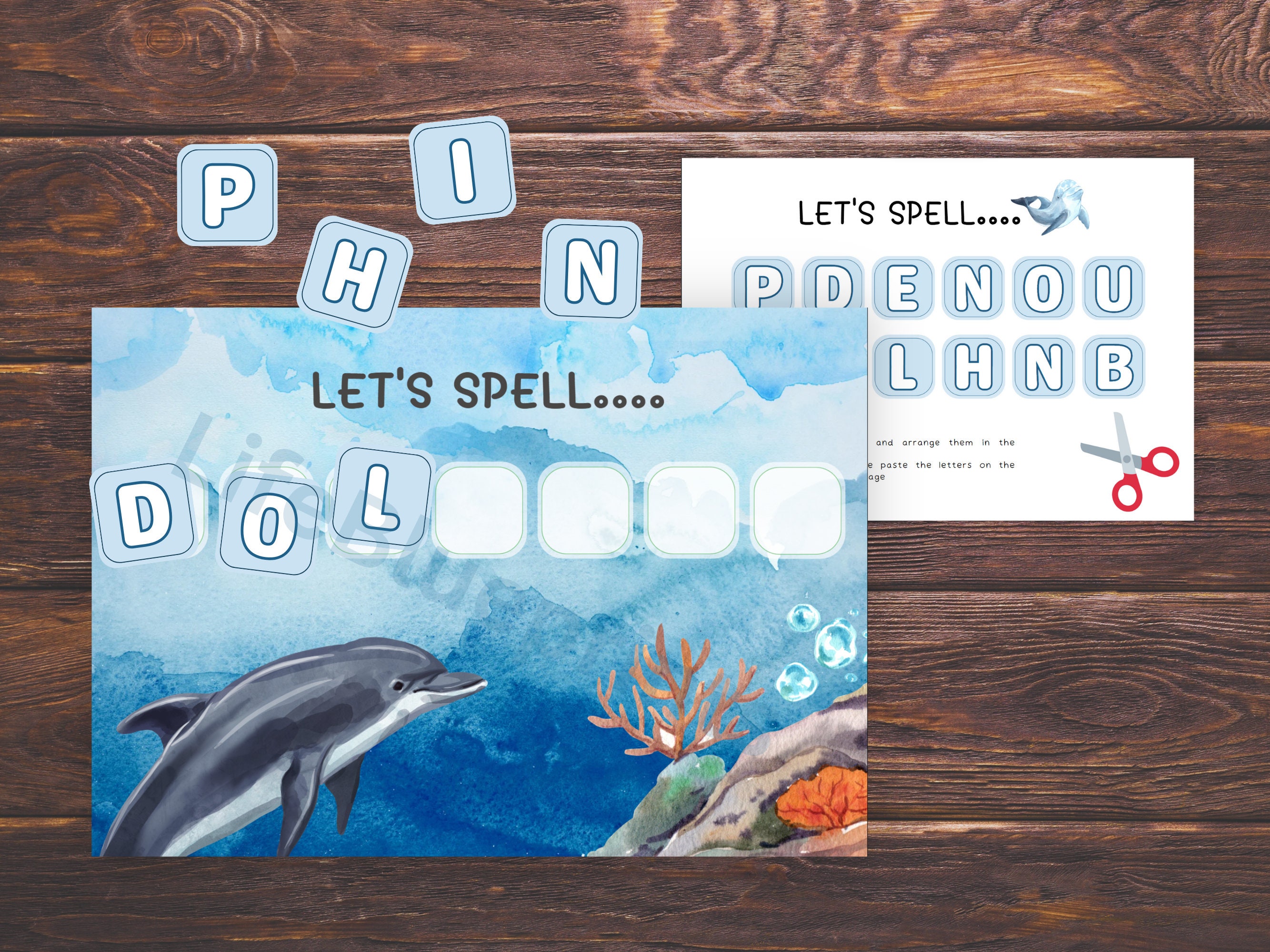 Dolphin Anatomy Poster for Kids Nature Study Science - Etsy