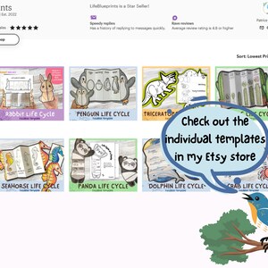 Bird Life Cycle Bundle of 6 Templates | Duck, Chicken, Penguin, Parrot ...