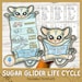 Sugar Glider Life Cycle Activity for Kids | Foldable Craft | Australian ...