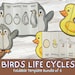 Bird Life Cycle Bundle of 6 Templates Duck, Chicken, Penguin, Parrot ...