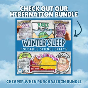 Frog Brumation | Hibernation Foldable Activity | Reptiles Hibernation ...