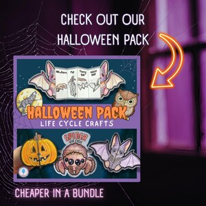 Life Cycle of a Spider Science Activity for Kids | Foldable Craft ...