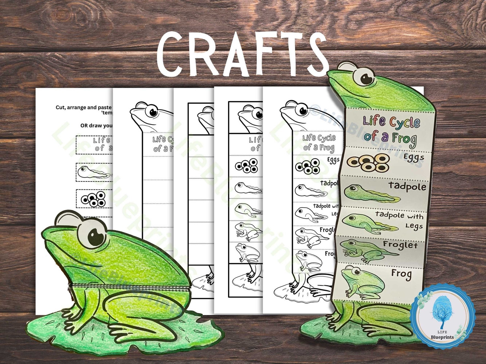 Frog Life Cycle Unit Study Poster, Flashcards, Lesson Plan Nature Study ...