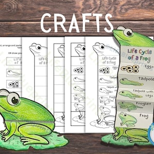 Frog Life Cycle Unit Study | Poster, Flashcards, Lesson Plan | Nature ...
