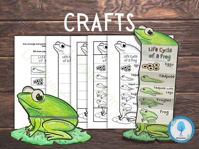 Frog Life Cycle Unit Study | Poster, Flashcards, Lesson Plan | Nature ...