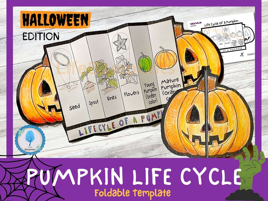 Foldable Pumpkin Life Cycle Learning Activity for Kids Halloween Nature ...