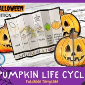 Foldable Pumpkin Life Cycle Learning Activity for Kids Halloween Nature ...