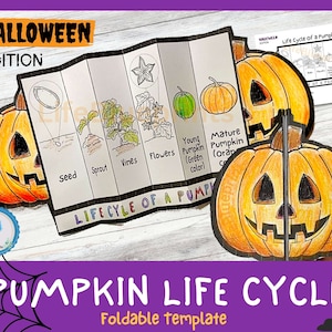 Foldable Pumpkin Life Cycle Learning Activity for Kids Halloween Nature ...