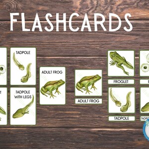 Frog Life Cycle Unit Study | Poster, Flashcards, Lesson Plan | Nature ...