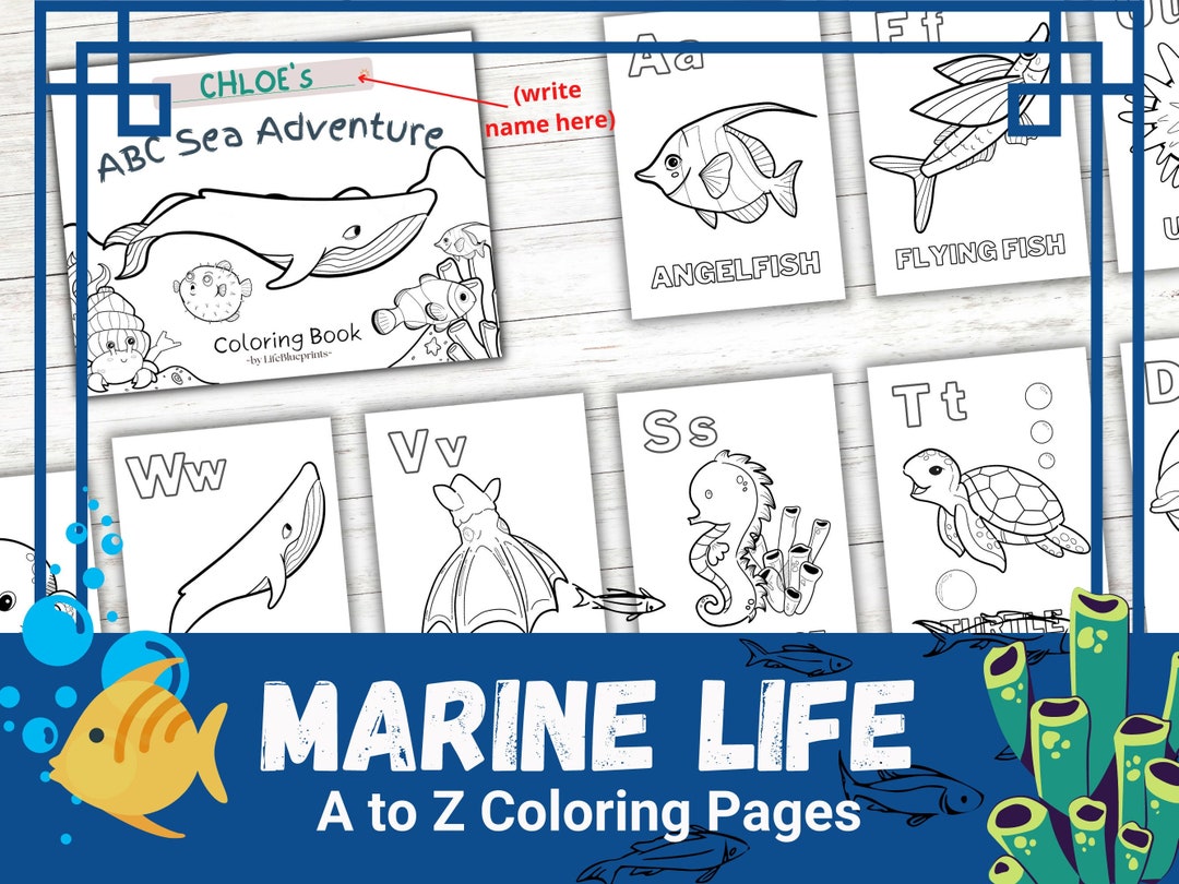 Sea Animal Alphabet Coloring Book for Kids (toddlers & Preschoolers ...