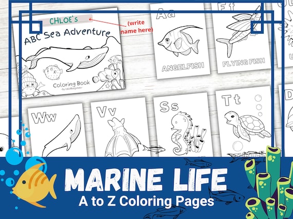 Ocean Life Coloring Pages Preschool Alphabet