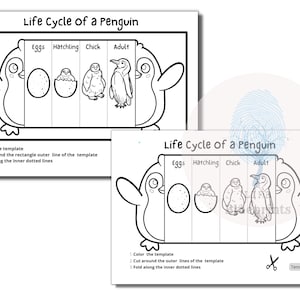 Foldable Penguin Life Cycle Learning Activity for Kids A4 and 11x8.5 ...