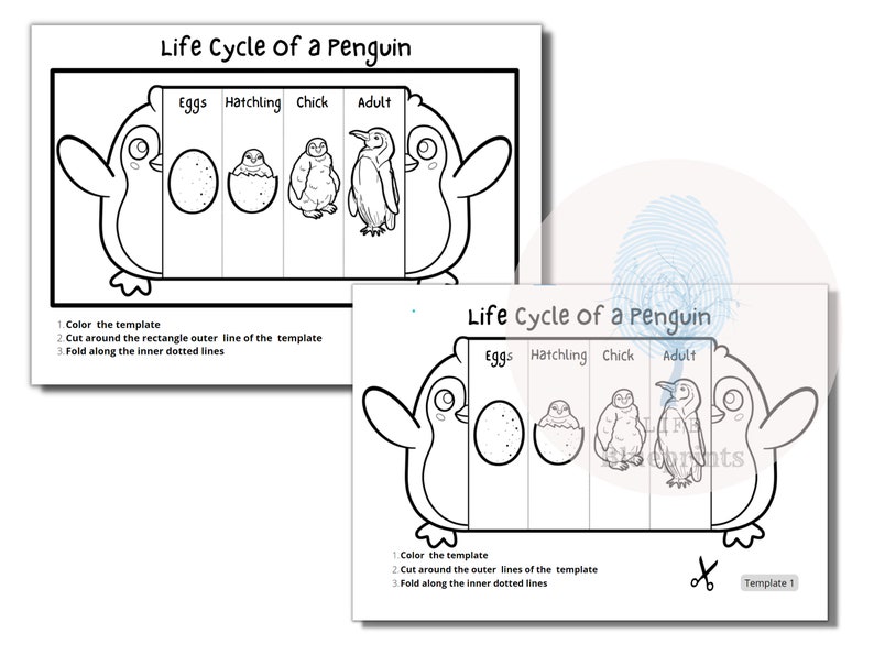 Actividad de aprendizaje del ciclo de vida del pingüino - Etsy España