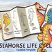 Foldable Seahorse Life Cycle Learning Activity for Kids - Etsy Singapore