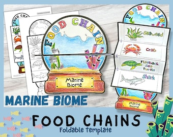 Desert Food Chains Foldable Kids' Craft | Snow Globe | Food Web ...