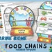 Marine Food Chains Foldable Kids' Craft Snow Globe Food Web Printable ...